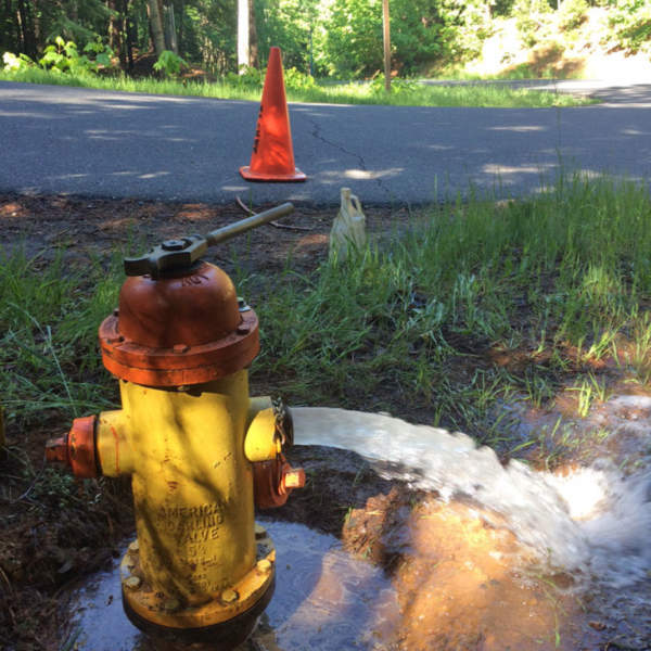 Blue Lake Springs Mutual Water Company